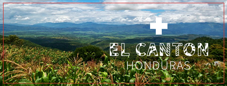 El Canton | Global Brigades